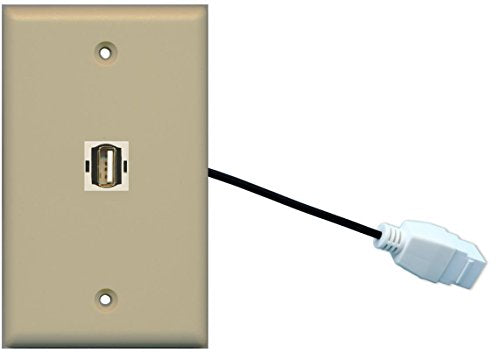 RiteAV (1 Gang Flat USB Wall Plate w/Female Pigtail Extension Cable Iv