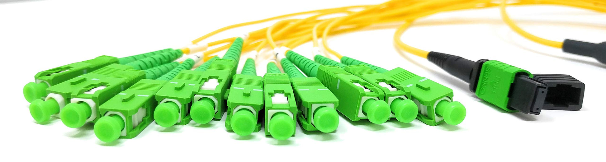 Ultra Spec Cables Singlemode MPO Female APC to 12 x SC-APC Simplex Bre ...